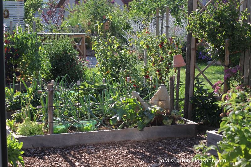 Beete anlegen: Inspirationen für Ihre Gartengestaltung